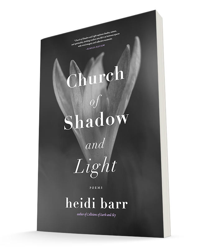 Church of Shadow and Light by Heidi Barr | Wayfarer Books