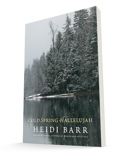 Cold Spring Hallelujah by Heidi Barr