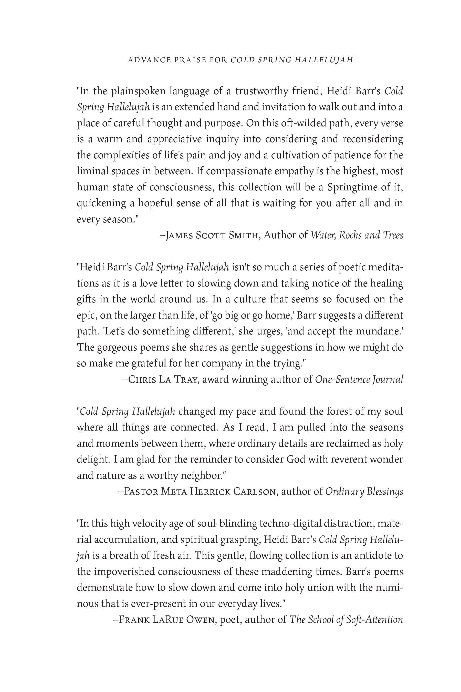 Cold Spring Hallelujah by Heidi Barr