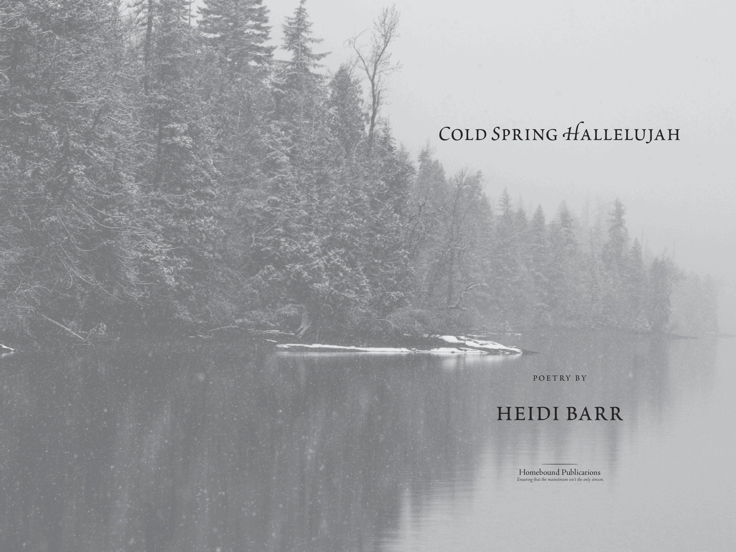 Cold Spring Hallelujah by Heidi Barr